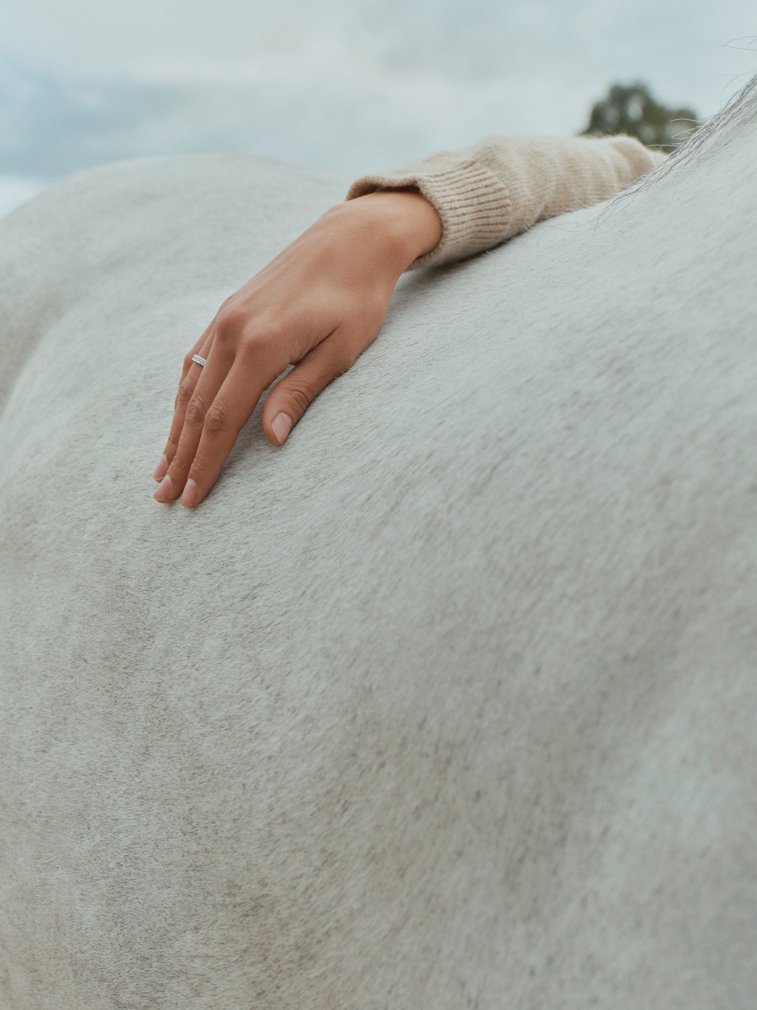 Trap Series – Hamish Munro