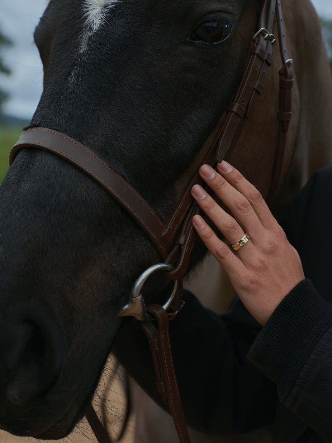 Rings – Hamish Munro